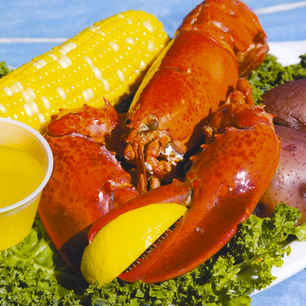 spankysclamshack – Cape Cod's Freshest Seafood